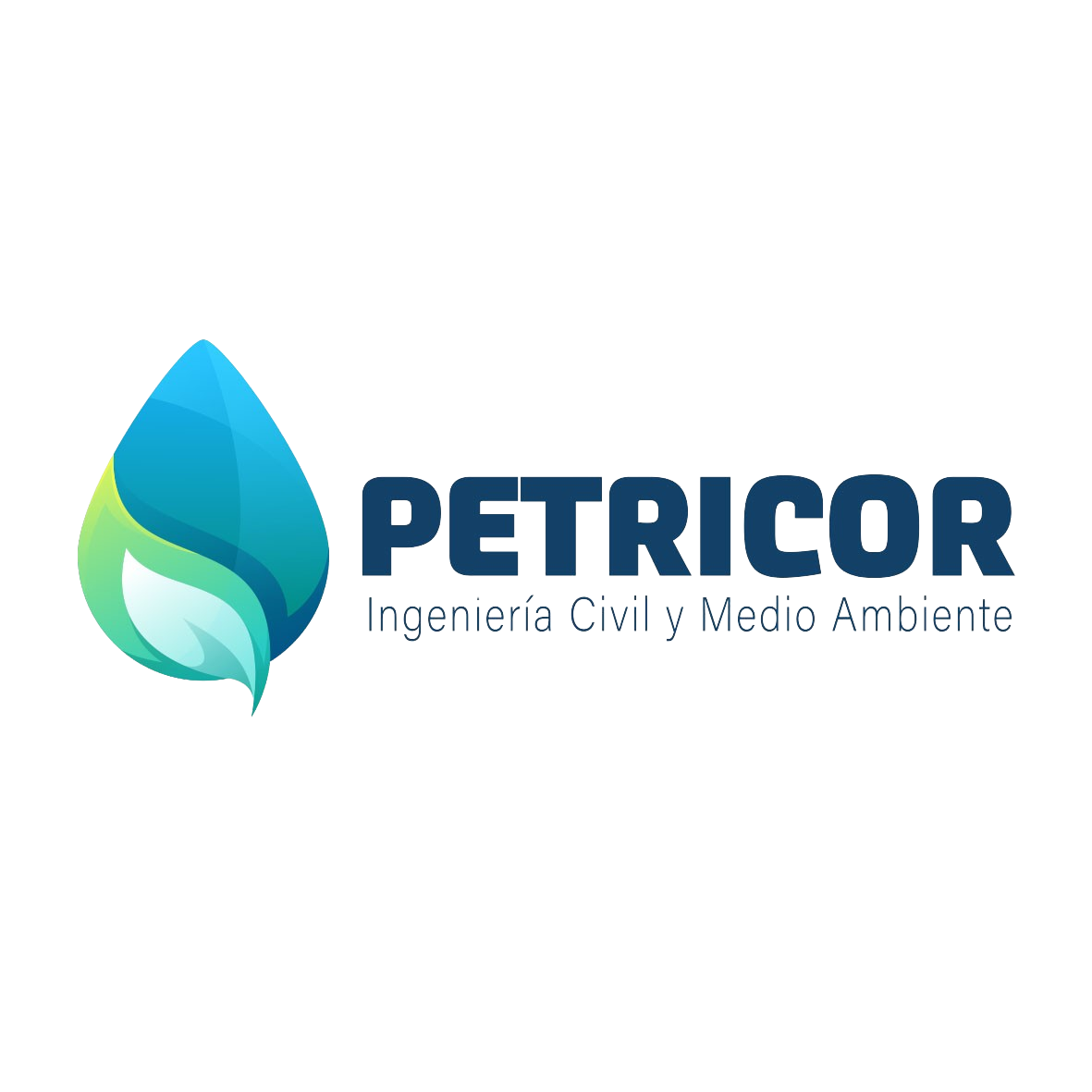 Petricor Ingeniería